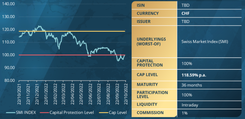 Lynceus Partners - News & Insights